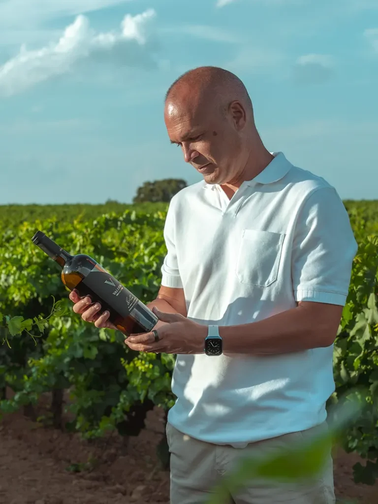 Bodega Andrés Iniesta · Vinos Exclusivos del Futbolista Español